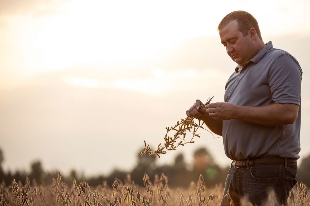 Nebraska Soybean Board Seeks Soybean Farmers Interested in United ...