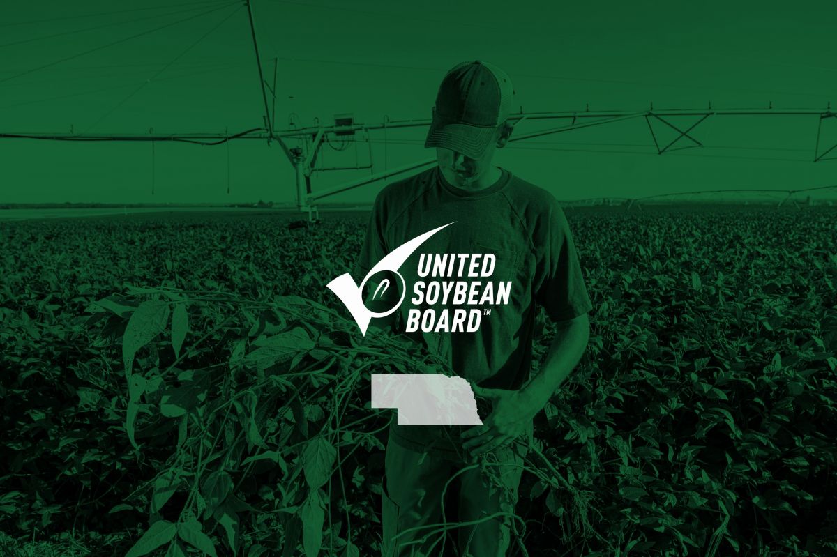 Nebraska Soybean Board Seeks Soybean Farmers Interested in United ...